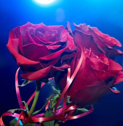 “Flowers” Miley Cyrus: Lyrics, Meaning & Production - GRAMMY GO